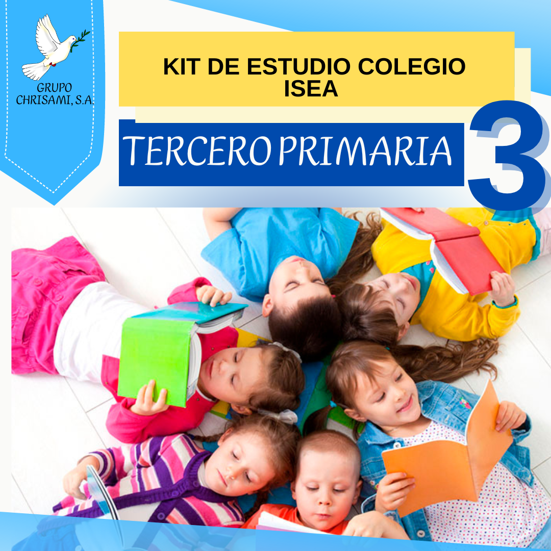 KTS ISEA Archives - Grupo Chrisami